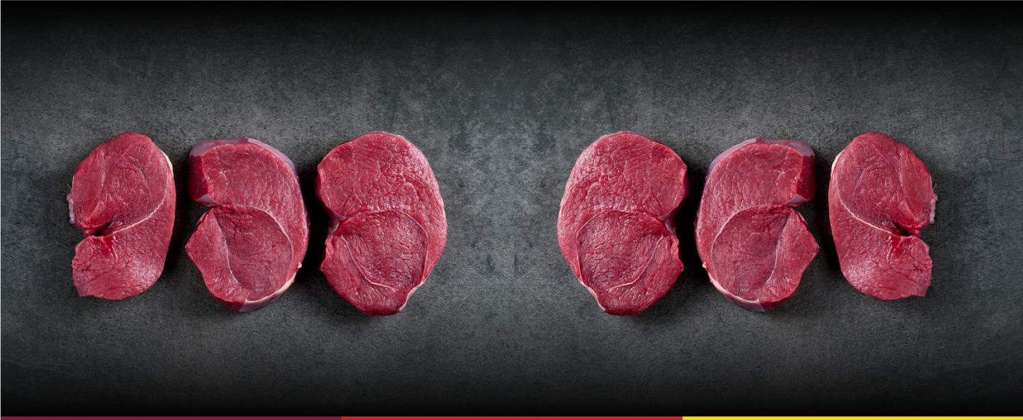 Raw Kangaroo Meat Queensland – Warroo